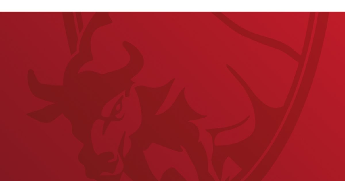 Jersey Bulls Football Club | Matches